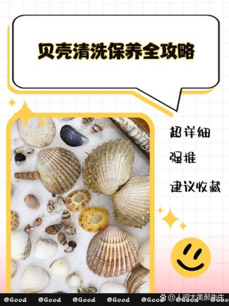 大贝壳怎么清洗_大贝壳的家常做法-第1张图片-山城妙识