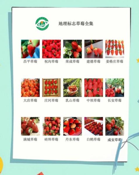 农产品地理标志怎么查询_地理标志农产品有哪些-第1张图片-山城妙识 农产品地理标志怎么查询_地理标志农产品有哪些-第1张图片-山城妙识