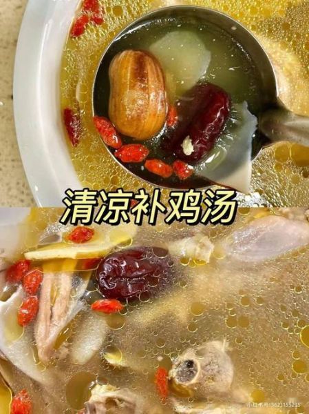 清补凉鸡汤怎么做_清补凉鸡汤的功效与禁忌-第3张图片-山城妙识 清补凉鸡汤怎么做_清补凉鸡汤的功效与禁忌-第3张图片-山城妙识