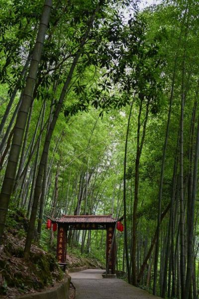 德清旅游景点有哪些_德清一日游必去景点推荐-第2张图片-山城妙识
