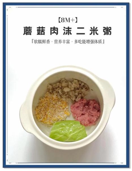 六个月宝宝瘦肉粥怎么做_六个月宝宝瘦肉粥做法-第3张图片-山城妙识