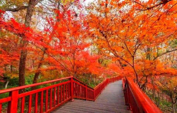 抚顺十大旅游景点有哪些_抚顺旅游必去景点推荐-第1张图片-山城妙识