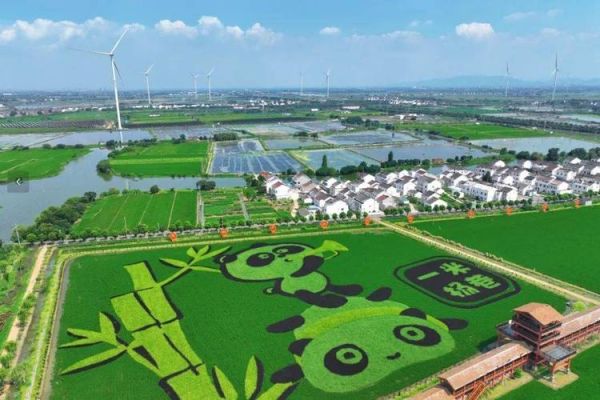 南方地区为什么被称为“鱼米之乡”_长江中下游平原农业特点-第1张图片-山城妙识 南方地区为什么被称为“鱼米之乡”_长江中下游平原农业特点-第1张图片-山城妙识