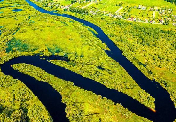 南方地区为什么被称为“鱼米之乡”_长江中下游平原农业特点-第3张图片-山城妙识 南方地区为什么被称为“鱼米之乡”_长江中下游平原农业特点-第3张图片-山城妙识
