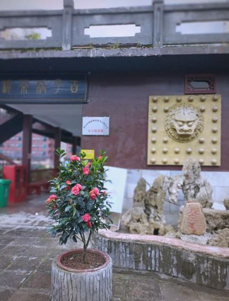 都匀市旅游景点有哪些_都匀旅游必去景点推荐-第2张图片-山城妙识 都匀市旅游景点有哪些_都匀旅游必去景点推荐-第2张图片-山城妙识