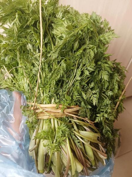 野菜素饺子怎么调馅_野菜素饺子做法大全-第1张图片-山城妙识