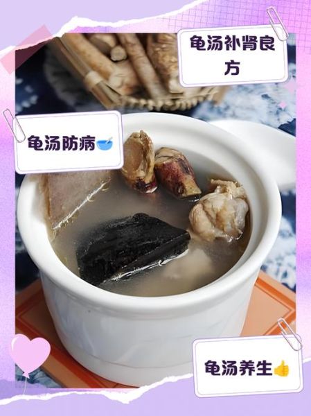 乌龟汤怎么炖_乌龟汤做法步骤详解-第1张图片-山城妙识 乌龟汤怎么炖_乌龟汤做法步骤详解-第1张图片-山城妙识