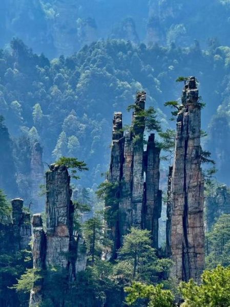 张家界必去景点有哪些_张家界旅游攻略-第3张图片-山城妙识 张家界必去景点有哪些_张家界旅游攻略-第3张图片-山城妙识