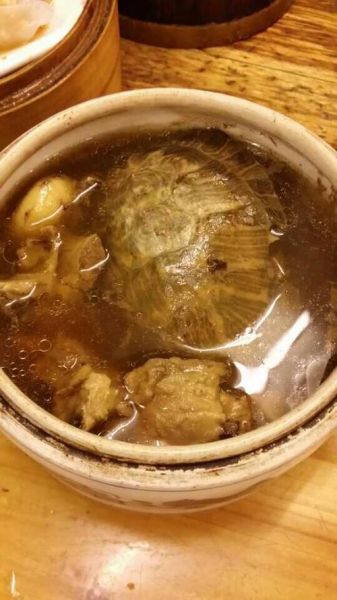 乌龟汤怎么炖_乌龟汤做法步骤详解-第3张图片-山城妙识 乌龟汤怎么炖_乌龟汤做法步骤详解-第3张图片-山城妙识