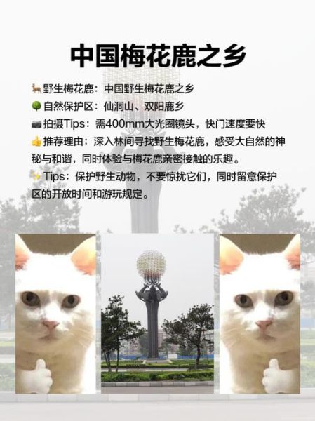 拜泉有哪些景点_拜泉旅游必去景点推荐-第1张图片-山城妙识