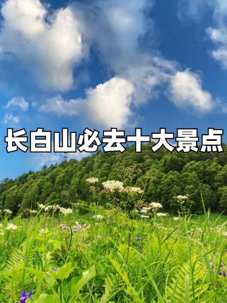 长白县旅游景点大全_长白县有哪些必去景点-第1张图片-山城妙识 长白县旅游景点大全_长白县有哪些必去景点-第1张图片-山城妙识