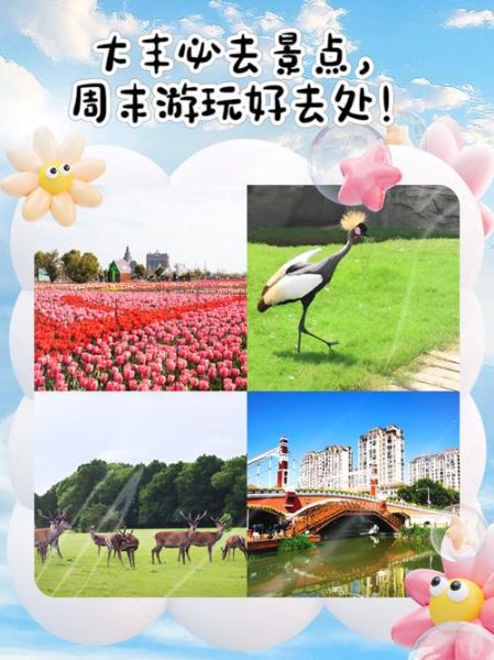 大丰旅游景点有哪些_大丰最值得去的地方-第2张图片-山城妙识
