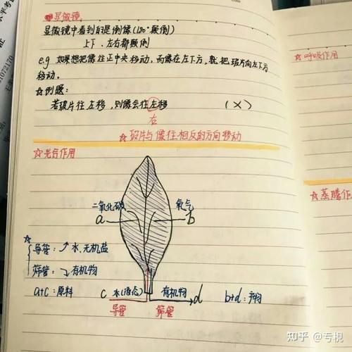 地理生物怎么学_地理生物提分技巧-第3张图片-山城妙识 地理生物怎么学_地理生物提分技巧-第3张图片-山城妙识