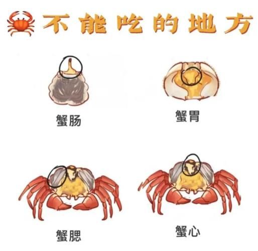 螃蟹怎么蒸好吃_清蒸螃蟹步骤-第3张图片-山城妙识 螃蟹怎么蒸好吃_清蒸螃蟹步骤-第3张图片-山城妙识