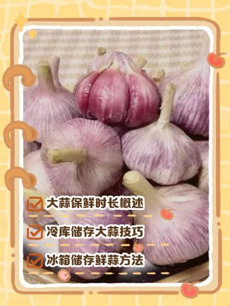 大蒜糊怎么做_大蒜糊保存多久-第1张图片-山城妙识