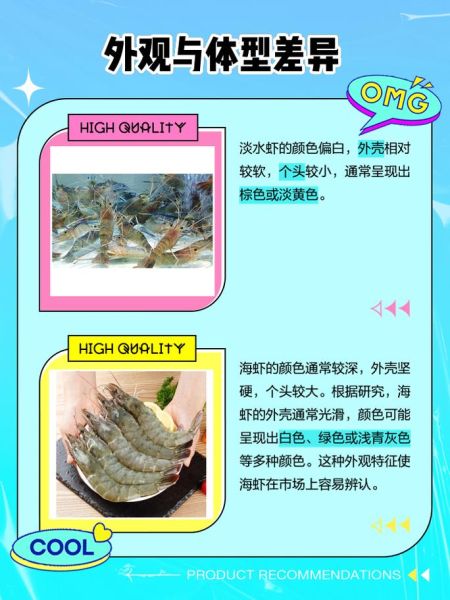 地理虾是淡水虾吗_地理虾怎么养-第3张图片-山城妙识 地理虾是淡水虾吗_地理虾怎么养-第3张图片-山城妙识