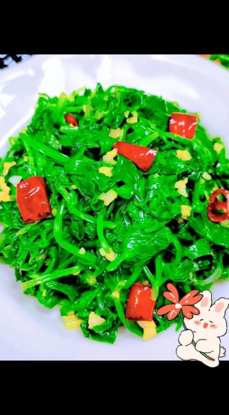 芹菜叶怎么做好吃_芹菜叶的做法大全-第1张图片-山城妙识 芹菜叶怎么做好吃_芹菜叶的做法大全-第1张图片-山城妙识