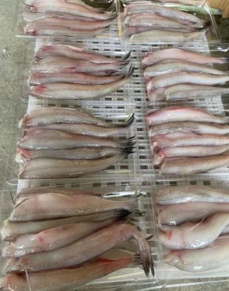 炸豆腐鱼怎么做_炸豆腐鱼外酥里嫩技巧-第1张图片-山城妙识 炸豆腐鱼怎么做_炸豆腐鱼外酥里嫩技巧-第1张图片-山城妙识