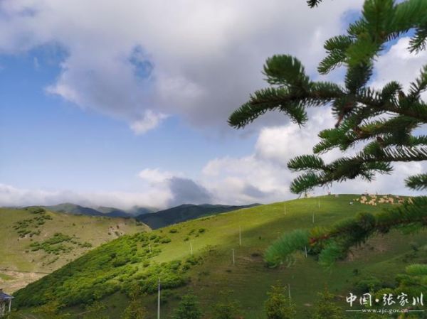 张家川有哪些景点_张家川旅游攻略必去景点-第1张图片-山城妙识 张家川有哪些景点_张家川旅游攻略必去景点-第1张图片-山城妙识