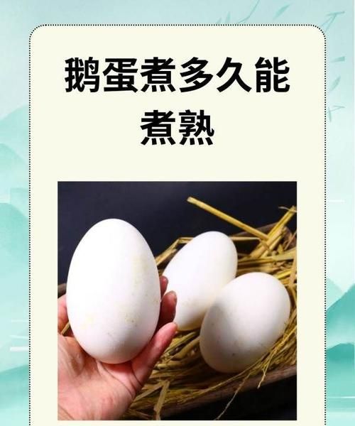 鹅蛋怎么煮不破_鹅蛋煮多久才熟-第2张图片-山城妙识