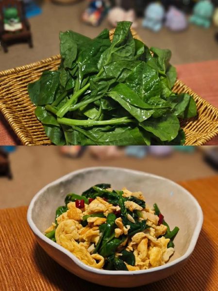 蒜蓉木耳菜怎么做_蒜蓉木耳菜焯水多久-第2张图片-山城妙识 蒜蓉木耳菜怎么做_蒜蓉木耳菜焯水多久-第2张图片-山城妙识