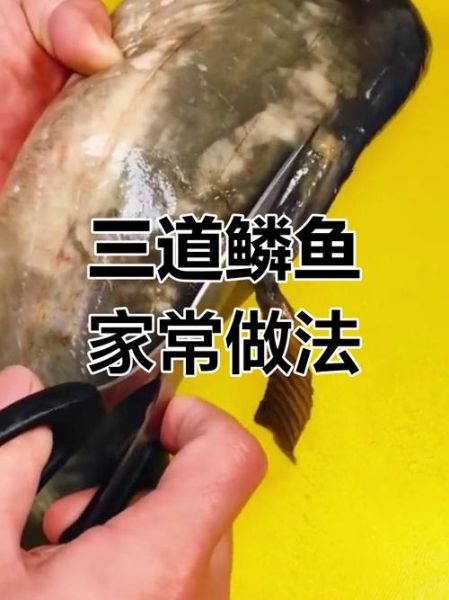 家常炖三道鳞鱼的做法_三道鳞鱼怎么炖才好吃-第2张图片-山城妙识