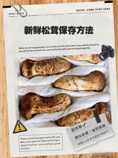 鲜松茸怎么保存_鲜松茸的家常做法-第1张图片-山城妙识