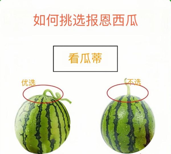 西瓜怎么挑_西瓜切法技巧-第3张图片-山城妙识
