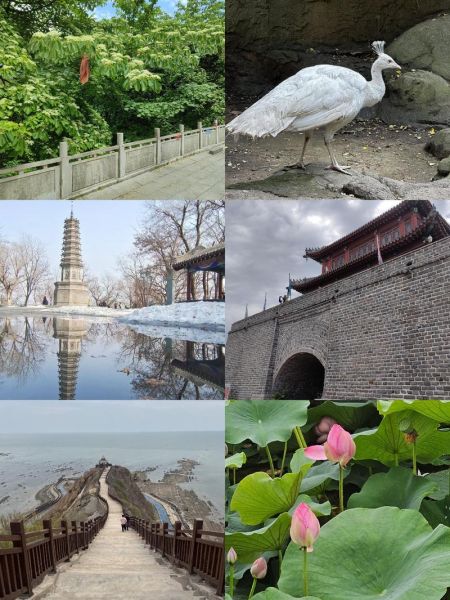 辽宁旅游景点推荐_辽宁有哪些值得去的景点-第3张图片-山城妙识 辽宁旅游景点推荐_辽宁有哪些值得去的景点-第3张图片-山城妙识