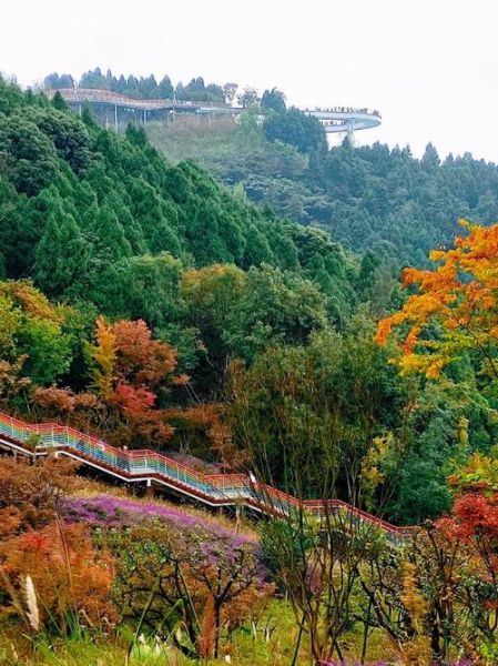 龙泉驿区旅游景点推荐_有哪些好玩的地方-第1张图片-山城妙识 龙泉驿区旅游景点推荐_有哪些好玩的地方-第1张图片-山城妙识