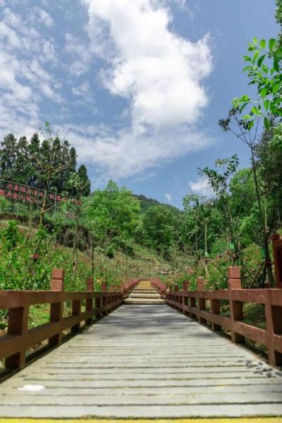贵定旅游景点有哪些_贵定最值得去的地方推荐-第3张图片-山城妙识 贵定旅游景点有哪些_贵定最值得去的地方推荐-第3张图片-山城妙识