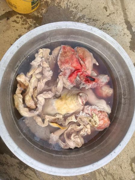 炖肉的家常做法_炖肉怎么做好吃又烂-第1张图片-山城妙识