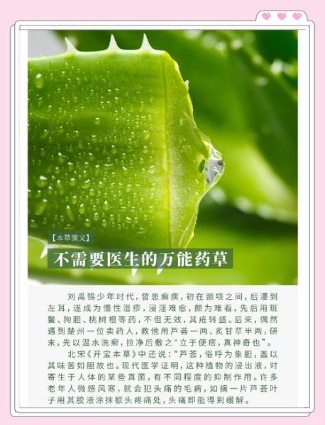 芦荟怎么吃_芦荟的正确做法-第2张图片-山城妙识