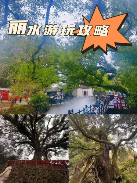 浙江丽水旅游景点推荐_丽水三日游怎么安排-第3张图片-山城妙识 浙江丽水旅游景点推荐_丽水三日游怎么安排-第3张图片-山城妙识