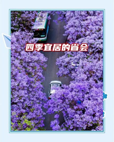 中国哪里气候最宜居_哪个城市四季如春-第2张图片-山城妙识 中国哪里气候最宜居_哪个城市四季如春-第2张图片-山城妙识