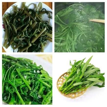 白灼空心菜怎么做_空心菜焯水几分钟才脆绿-第3张图片-山城妙识 白灼空心菜怎么做_空心菜焯水几分钟才脆绿-第3张图片-山城妙识