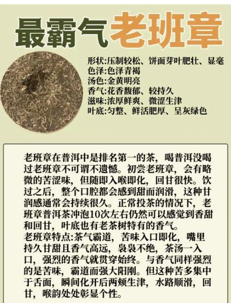 云南普洱茶哪个牌子好喝_正宗普洱茶怎么辨别-第3张图片-山城妙识 云南普洱茶哪个牌子好喝_正宗普洱茶怎么辨别-第3张图片-山城妙识