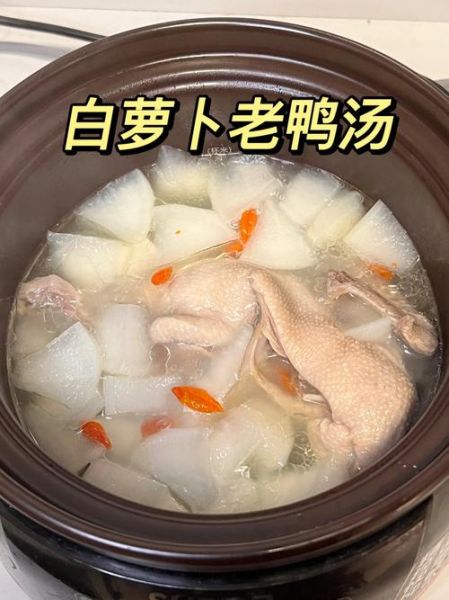 老鸭汤的家常做法_老鸭汤怎么炖好喝-第1张图片-山城妙识