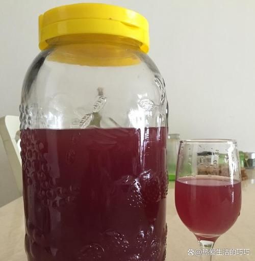 自酿葡萄酒的做法_家庭葡萄酒怎么酿-第2张图片-山城妙识