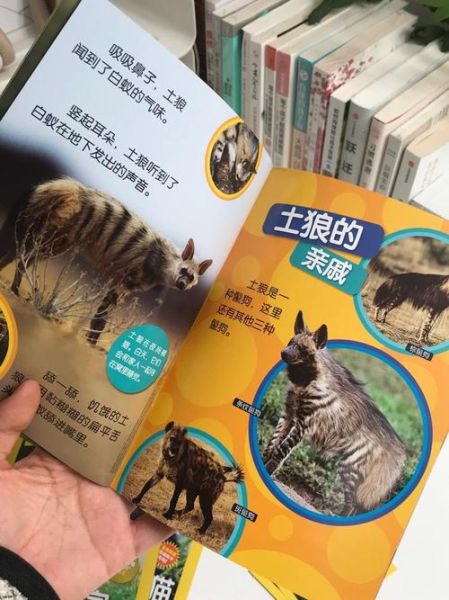 环球少年地理怎么样_适合几岁孩子阅读-第1张图片-山城妙识