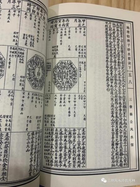 地理铅弹子是什么_地理铅弹子怎么玩-第1张图片-山城妙识