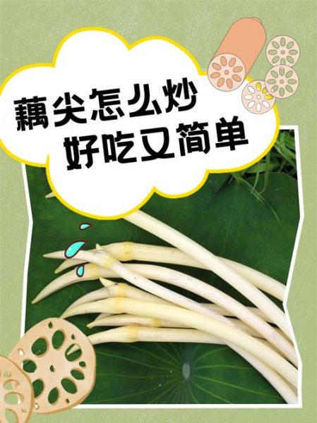 酸辣藕尖怎么做_酸辣藕尖的做法窍门-第2张图片-山城妙识 酸辣藕尖怎么做_酸辣藕尖的做法窍门-第2张图片-山城妙识