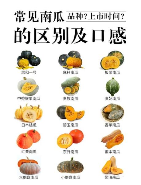 南瓜和倭瓜的区别_倭瓜和南瓜哪个好吃-第3张图片-山城妙识