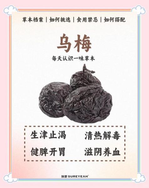 乌梅果的功效与作用_乌梅果怎么吃最好-第1张图片-山城妙识