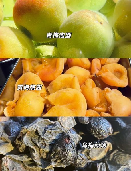 乌梅果的功效与作用_乌梅果怎么吃最好-第3张图片-山城妙识