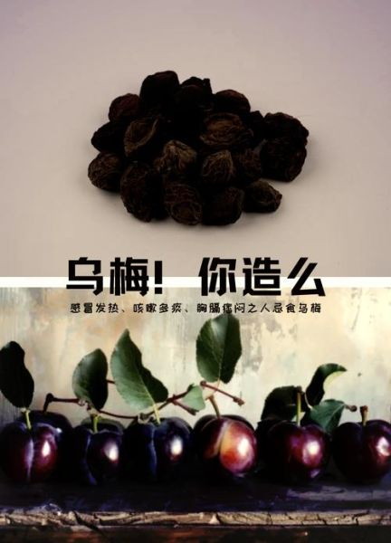 乌梅果的功效与作用_乌梅果怎么吃最好-第2张图片-山城妙识