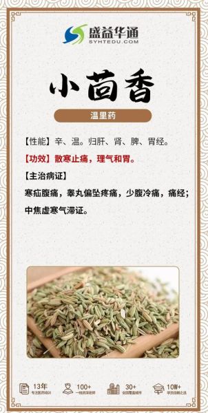 小茴香的功效与作用_小茴香能治什么病-第1张图片-山城妙识