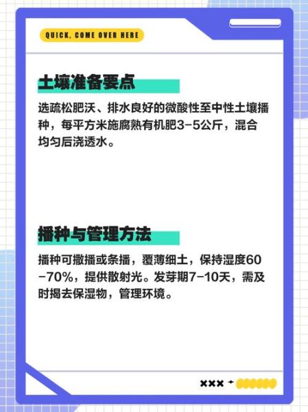 马兰头怎么种_马兰头种植时间-第1张图片-山城妙识 马兰头怎么种_马兰头种植时间-第1张图片-山城妙识