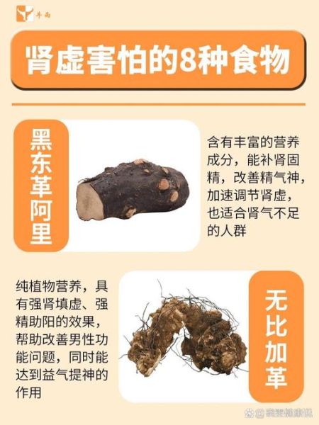 肾阴虚吃什么食物_肾阴虚吃什么可以补起来-第3张图片-山城妙识