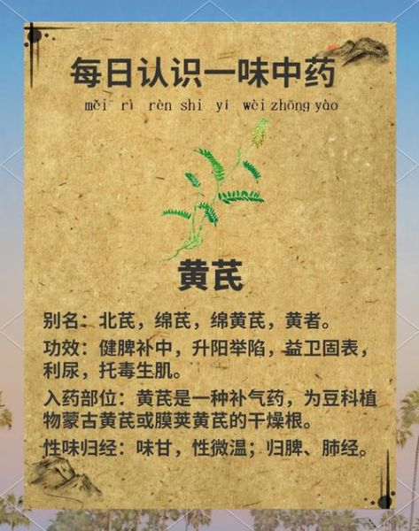 黄芪的功效与作用有哪些_黄芪的副作用是什么-第3张图片-山城妙识 黄芪的功效与作用有哪些_黄芪的副作用是什么-第3张图片-山城妙识